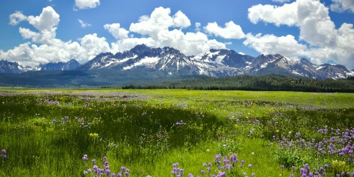 SAWTOOTH SPRING, Fine Art Print by Todd Sherwood | Todd Sherwood Gallery