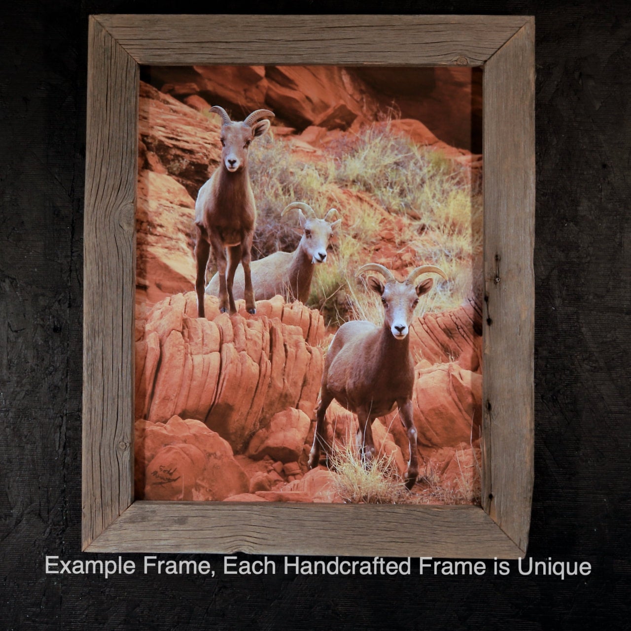 VALLEY GIRLS, Fine Art Print by Todd Sherwood | Todd Sherwood Gallery